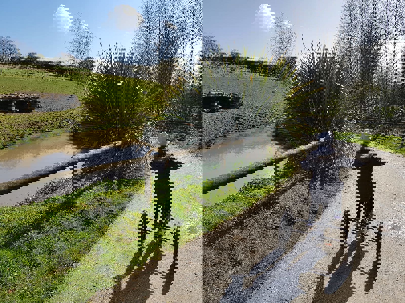 Family Fun & Adventure | Swallow Tree Gardens