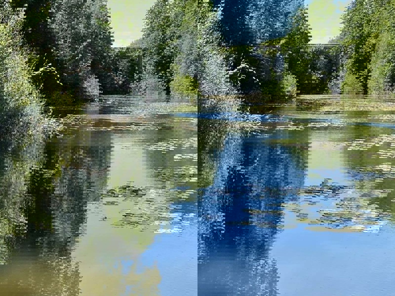 Castles, Culture & Gardens | Swallow Tree Gardens